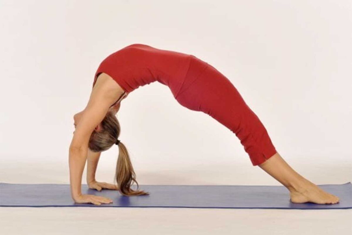 Bio Mechanics of Backbends - Intouch Yoga Byron Bay