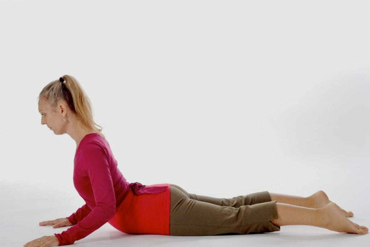 Bio Mechanics of Forward Bends - Intouch Yoga Byron Bay